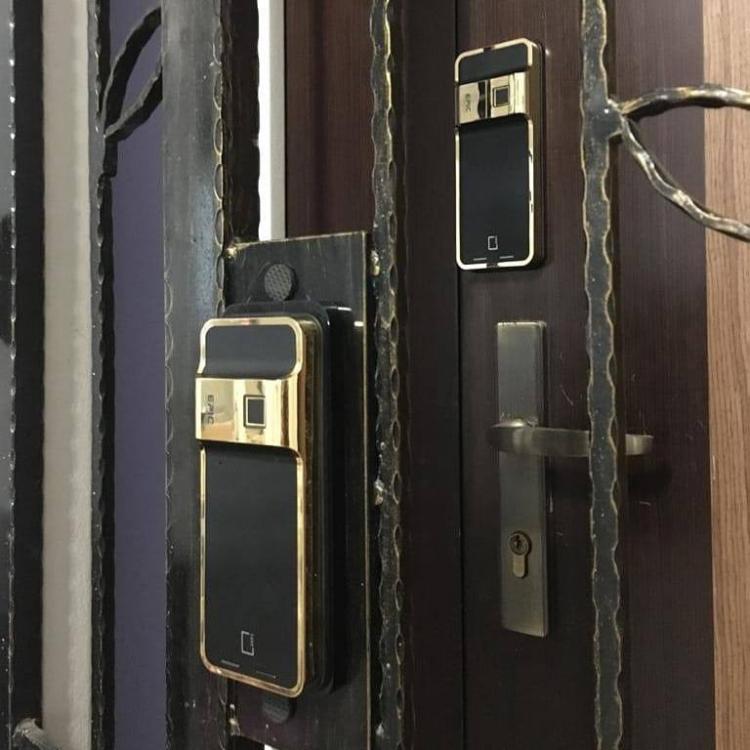 [Bundle] Lambo+24K+Gate+Main Door $2980 !! HP 87683316 Travis ...