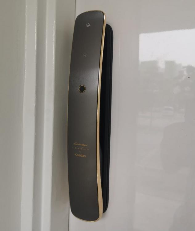 [Bundle] Lambo+24K+Gate+Main Door $2980 !! HP 87683316 Travis ...